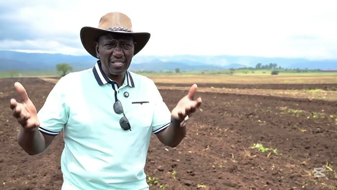 President Ruto Provides Framework to Navigate Success in Agriculture