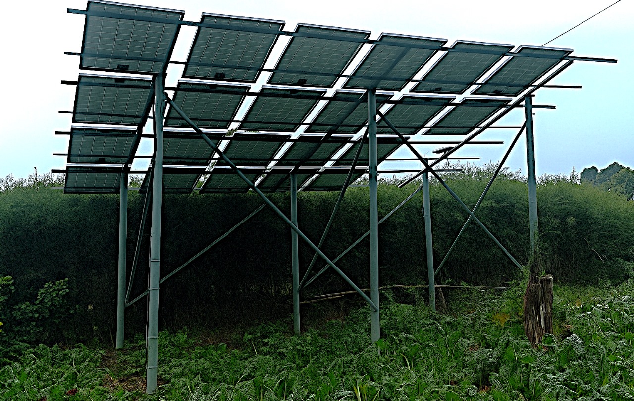 How Nakuru farm harnesses solar for sustainable agriculture